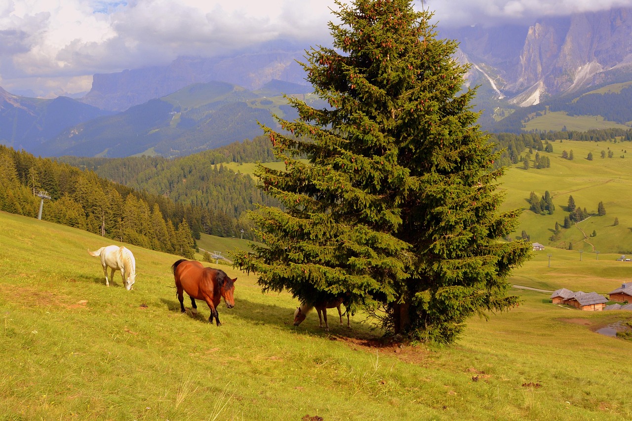 Horse Tree Lawn - Free photo on Pixabay - Pixabay