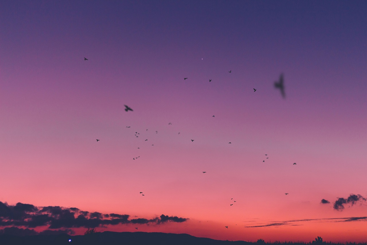 Sonnenuntergang Himmel Wolke - Kostenloses Foto auf Pixabay - Pixabay