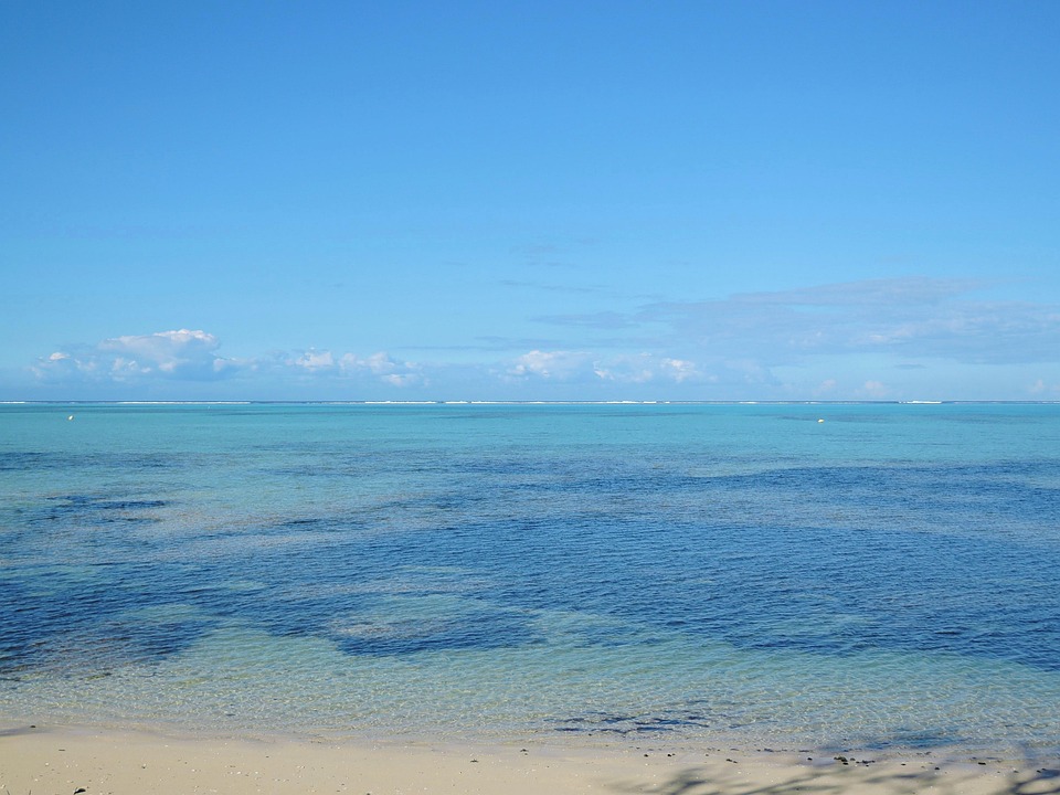 Laguna Arrecife Oceano Pacifico - Foto gratis en Pixabay - Pixabay