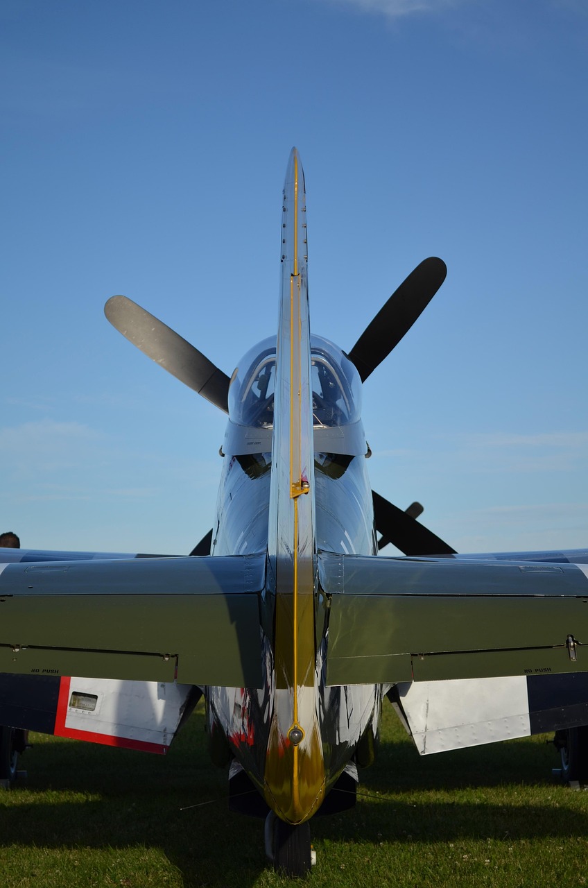 800+ Free Mustang P51 & Mustang Images - Pixabay