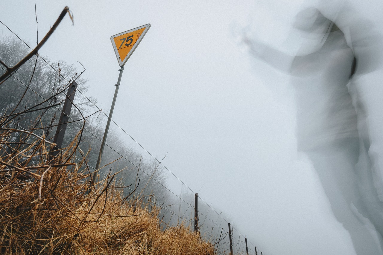 20,000+ Free People Moving & People Images - Pixabay