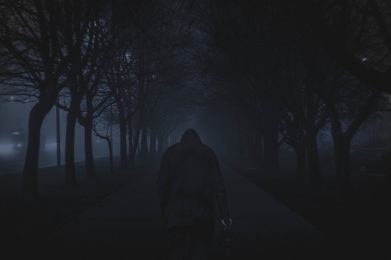 Street Road Trees - Free photo on Pixabay - Pixabay