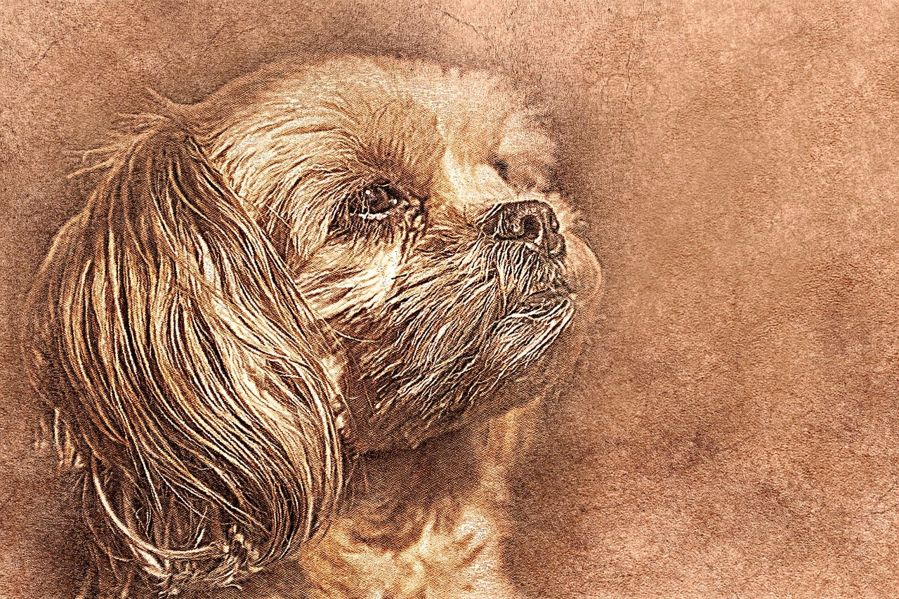 Download Dog, Pet, Art. Royalty-Free Stock Illustration Image - Pixabay