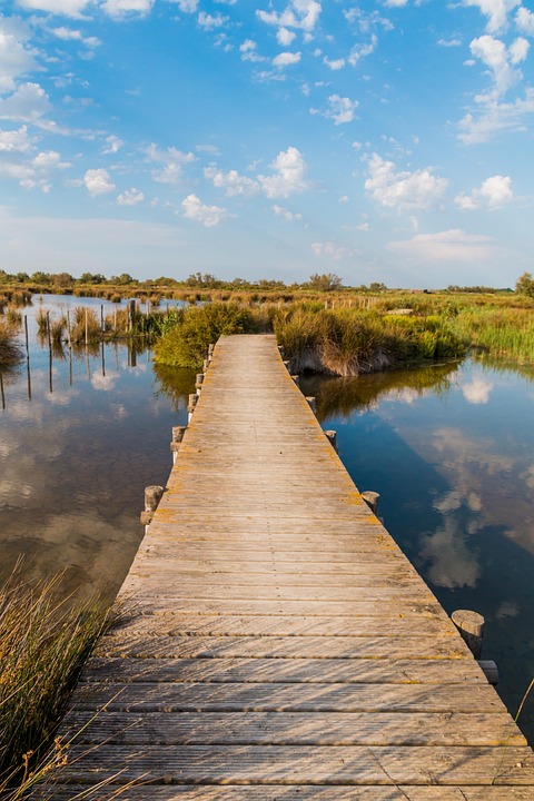 Steg Natur Camargue · Kostenloses Foto auf Pixabay