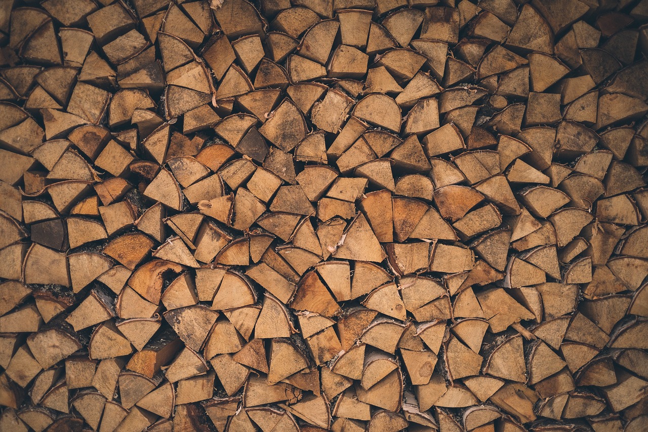 Wood Forest Trees - Free photo on Pixabay - Pixabay