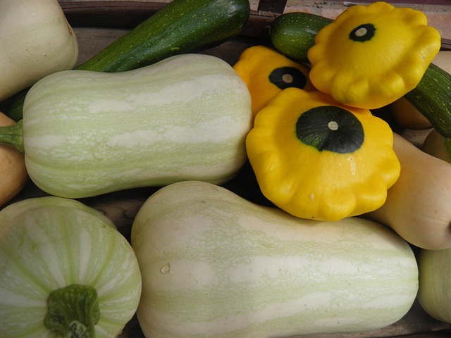 Squash Courgettes Patty Pan - Free photo on Pixabay