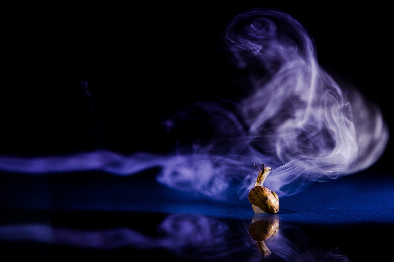 50+ Free Smoke Effect & Smoke Photos - Pixabay
