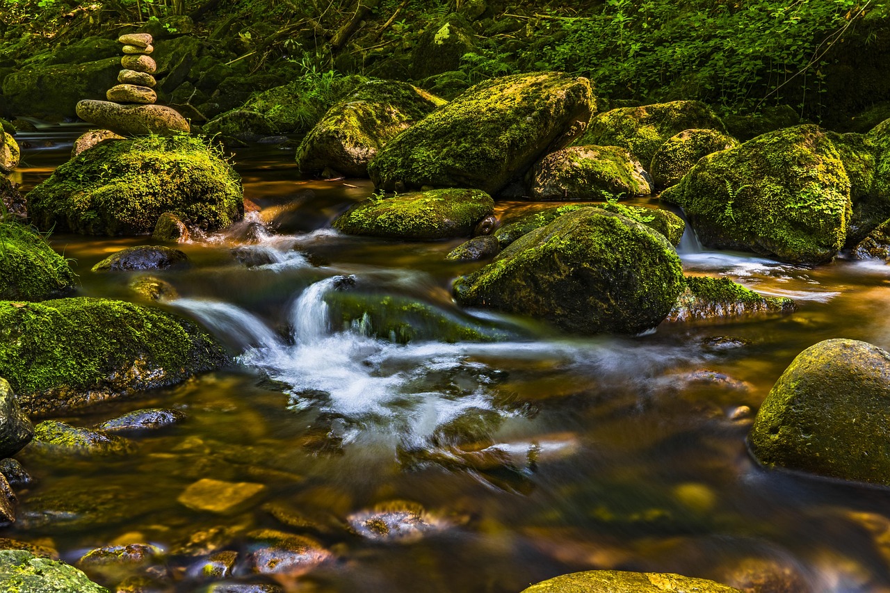 Water Flow Nature - Free photo on Pixabay