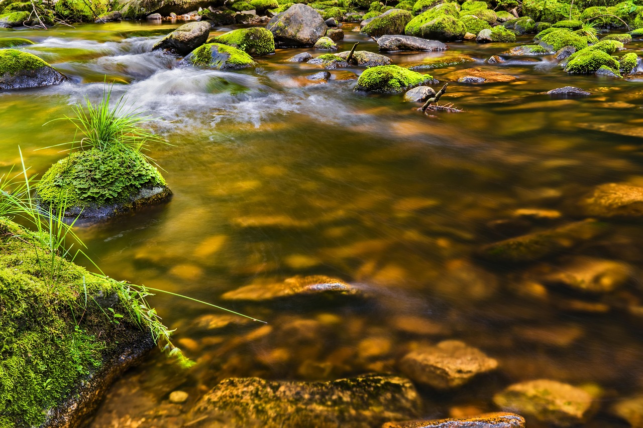 Nature Water 4k