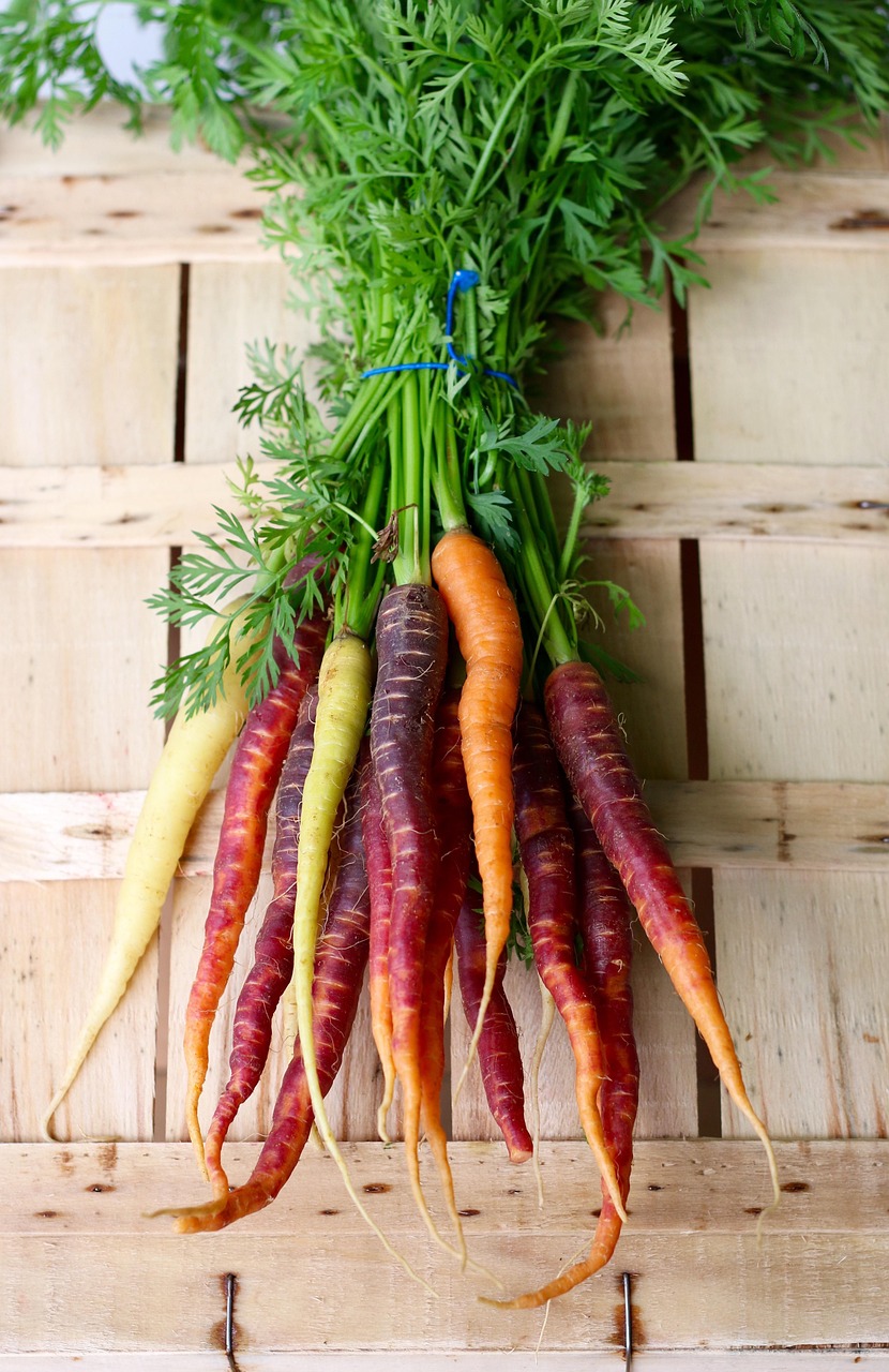100+ Free Veg Thali & Veg Images - Pixabay