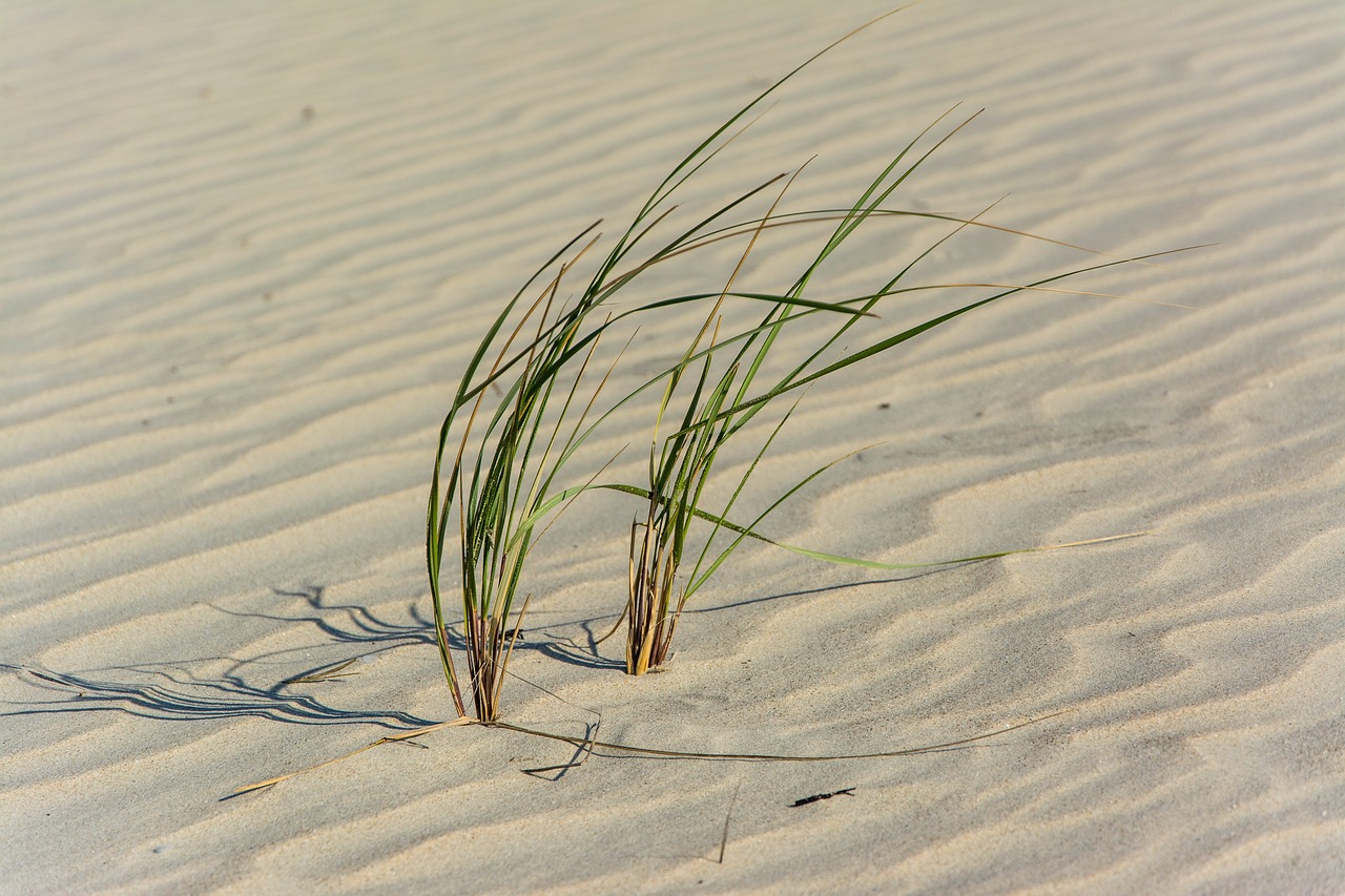 30,000+ Free Squiggly Lines & Line Art Images - Pixabay
