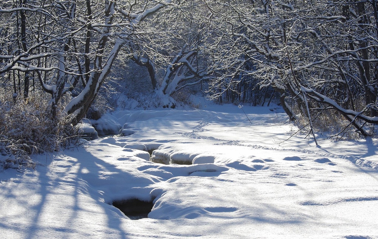 River Back On Track Bend - Free photo on Pixabay - Pixabay