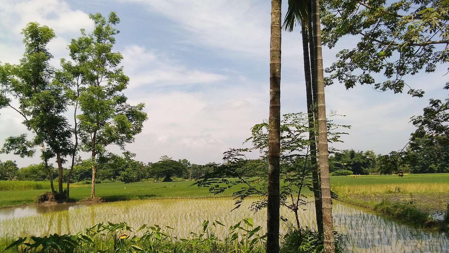 PritamMandal - Pixabay