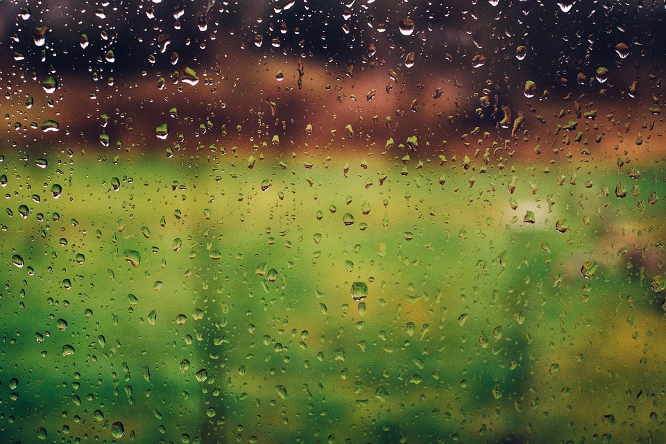 Raining Rain Drops Wet - Free photo on Pixabay