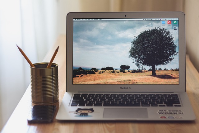 Macbook Air 2005