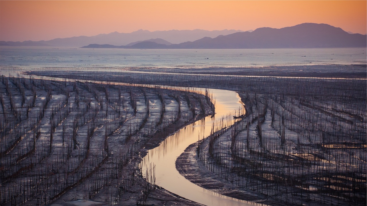 Seaweed Fields Cultivation - Free photo on Pixabay - Pixabay