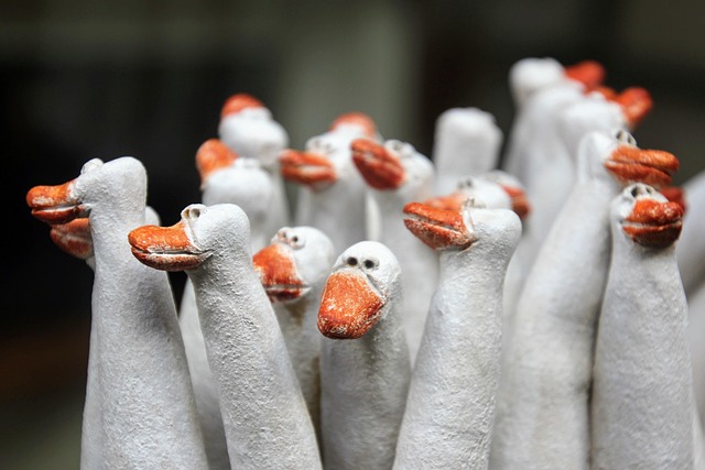 20,000+ Free Outing & Nature Images - Pixabay