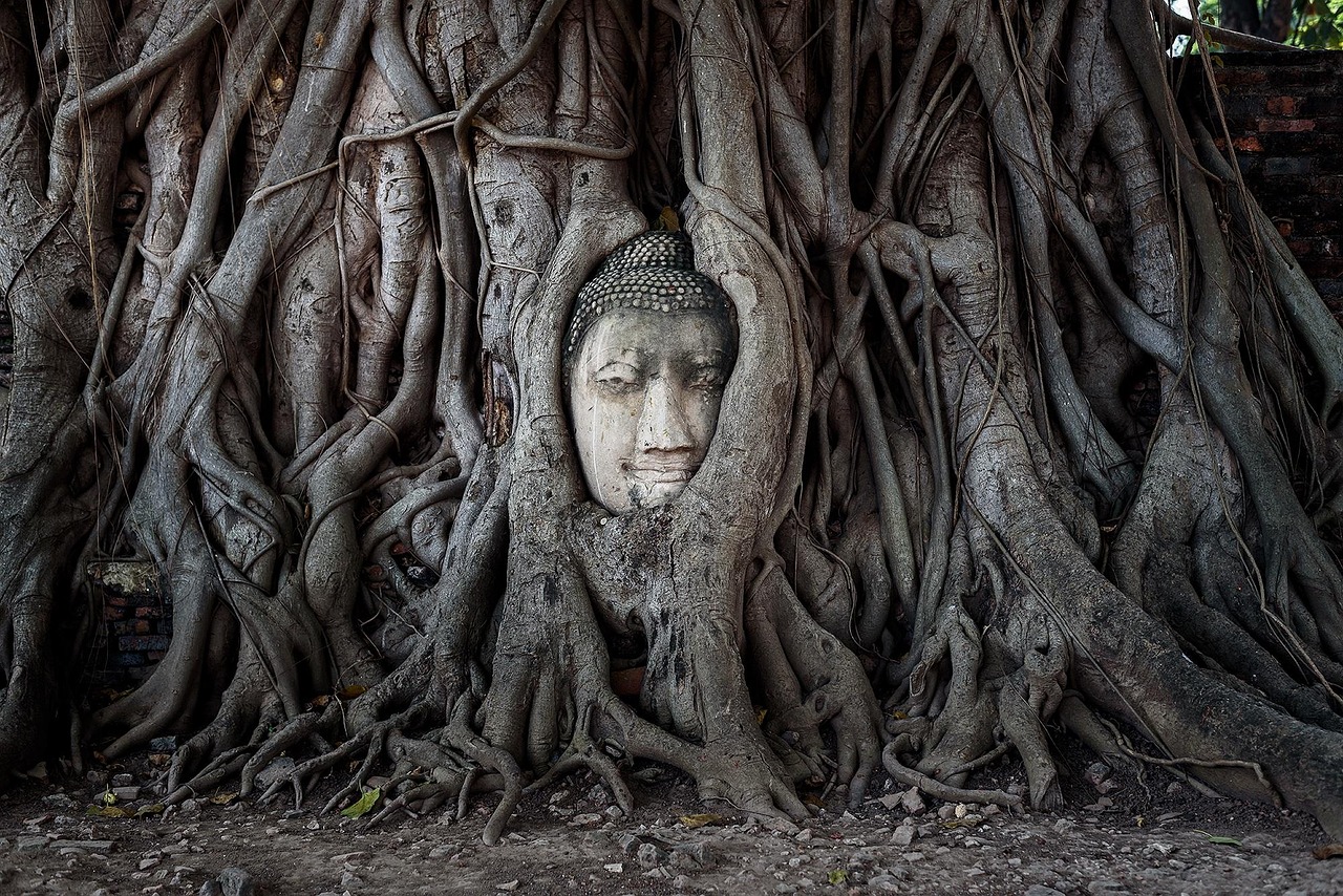 3,000+ Free Buddhist & Monk Images - Pixabay