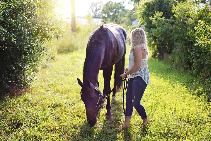 700+ kostenlose Frau Mit Pferd und Pferd-Bilder - Pixabay
