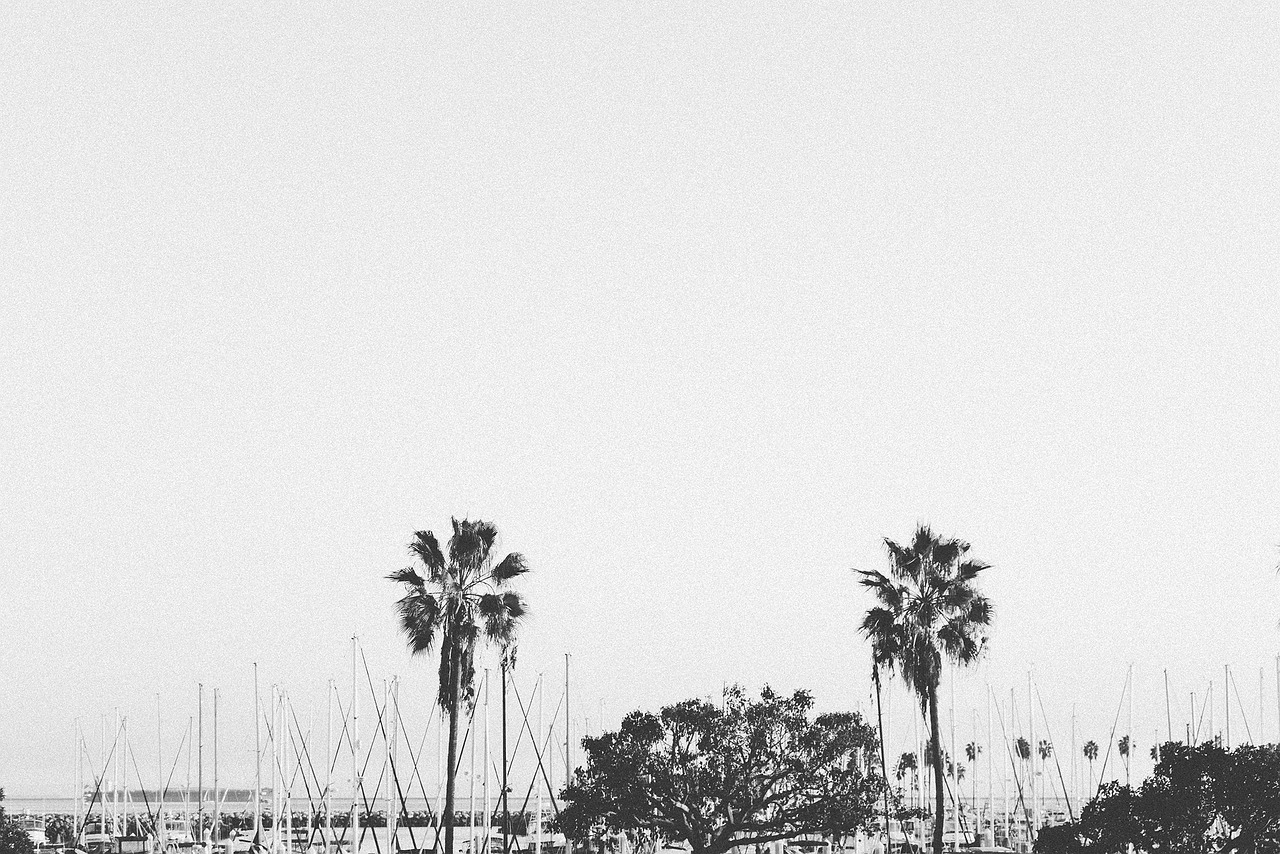 9,000+ Free Harbor & Nature Images - Pixabay