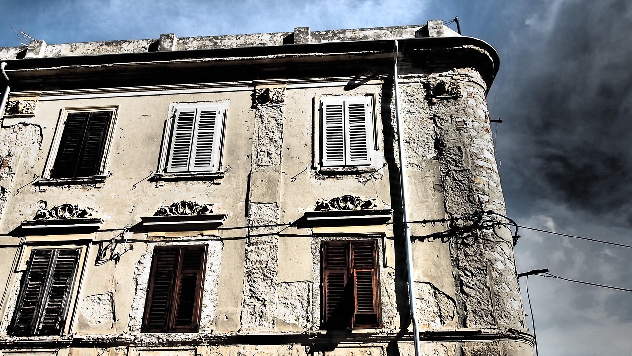 Peste 100 de imagini gratuite cu Pule și Pula - Pixabay