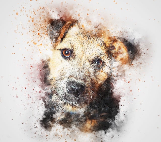 Download Dog, Animal, Pet. Royalty-Free Stock Illustration Image - Pixabay