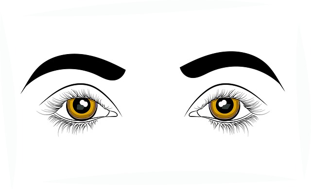 Eyes Sight Vision - Free image on Pixabay