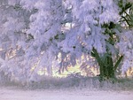 More 170 Infrared Synonyms. Similar words for Infrared.