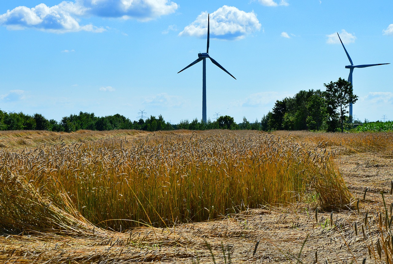 1+ Free Grainfield & Grain Images - Pixabay
