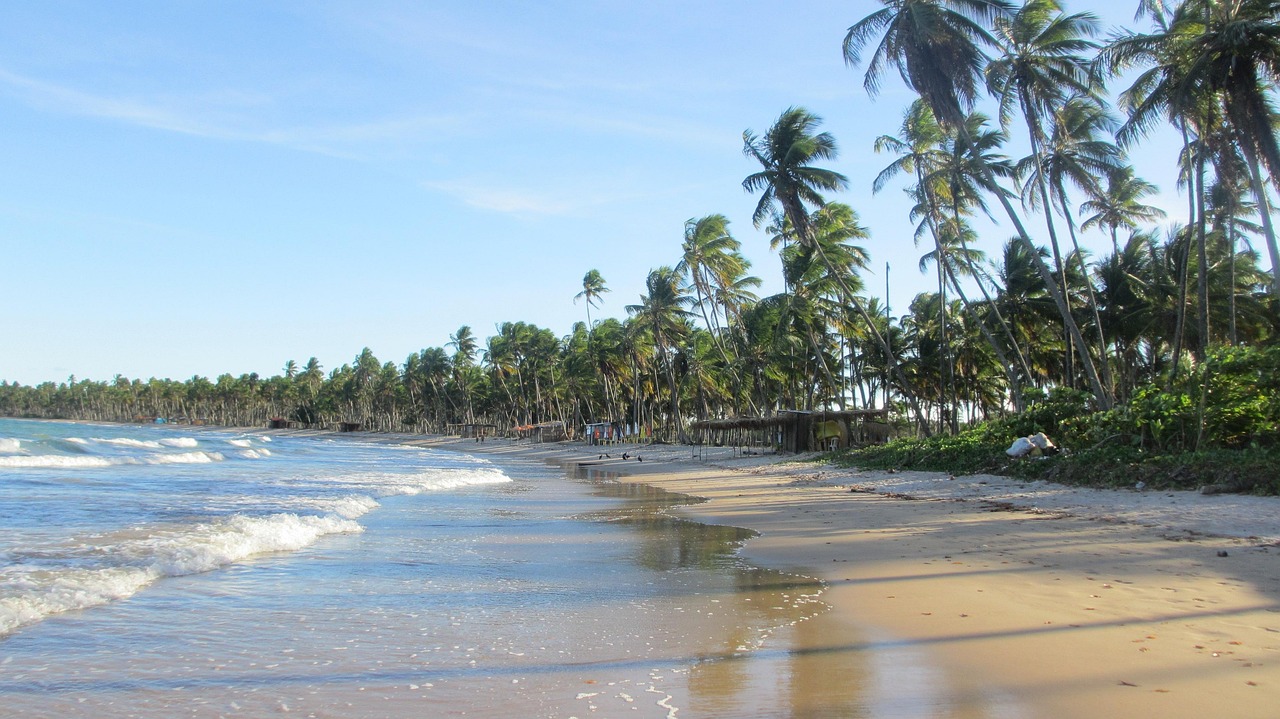 2 000 Free Bahia Blanca Argentina Argentina Photos Pixabay