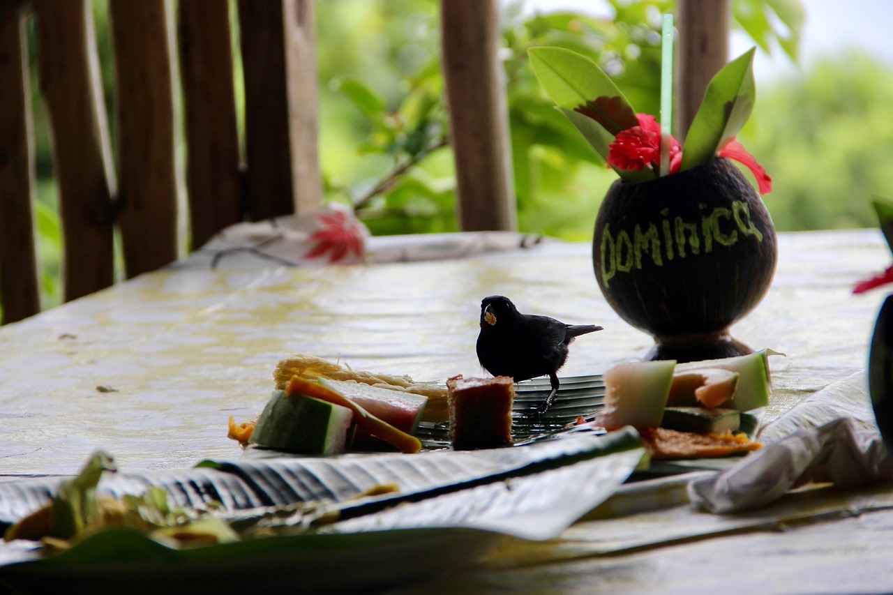 60+ Free Dominica & Caribbean Images - Pixabay