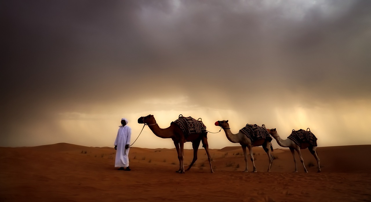 Plus de 1 000 photos gratuites de Chameaux et de Nature - Pixabay