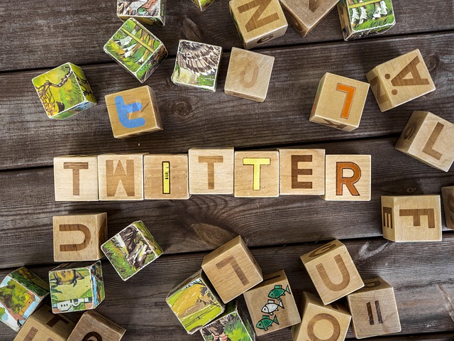 100+ Free Twitter & Social Media Photos - Pixabay
