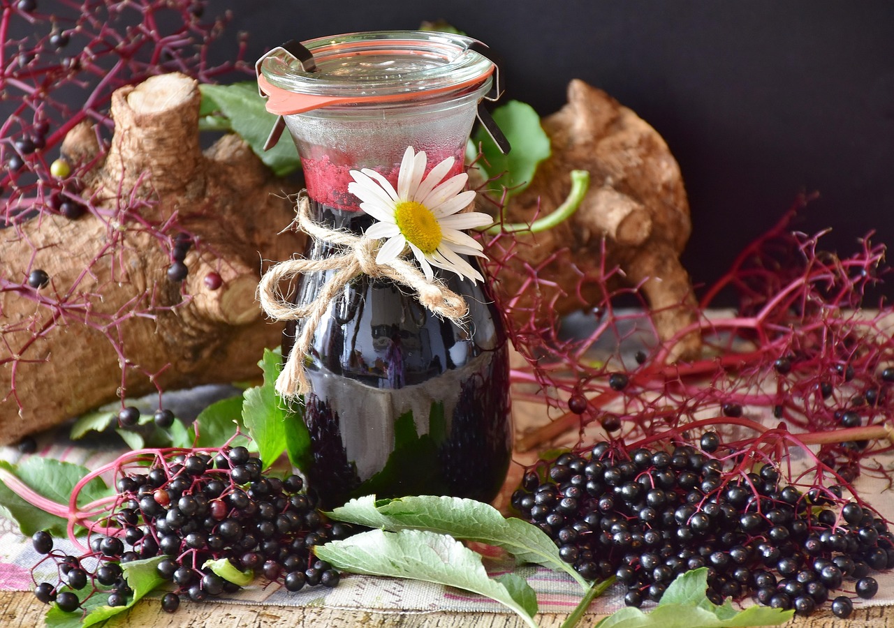 Elder Elderberries Berry - Free photo on Pixabay