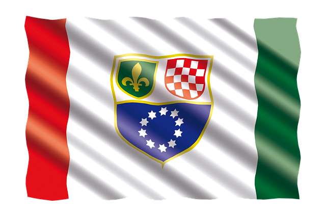 Download International Banner Flag Royalty-Free Stock Illustration ...