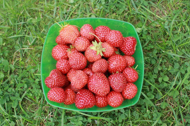 Strawberry Country House Garden - Free photo on Pixabay - Pixabay