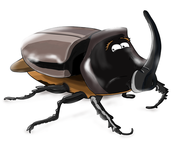 80+ Free Rhinoceros Beetles & Beetle Images - Pixabay