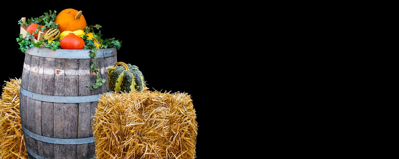 Nature Harvest Fall - Free photo on Pixabay - Pixabay