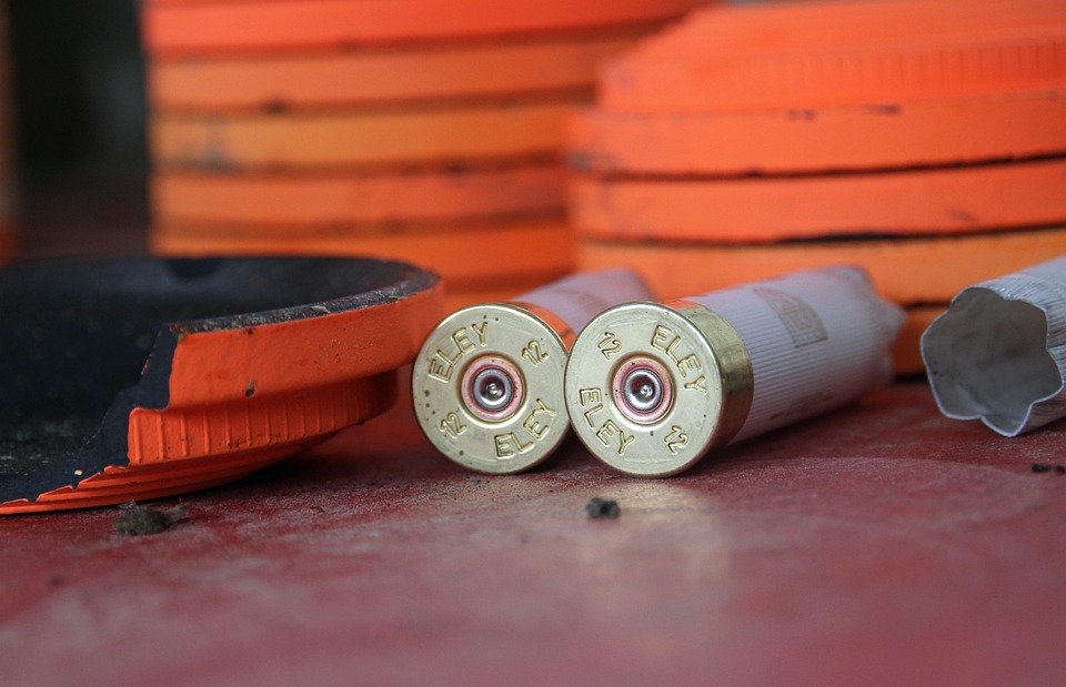 Cartridges Shooting Clay - Free photo on Pixabay