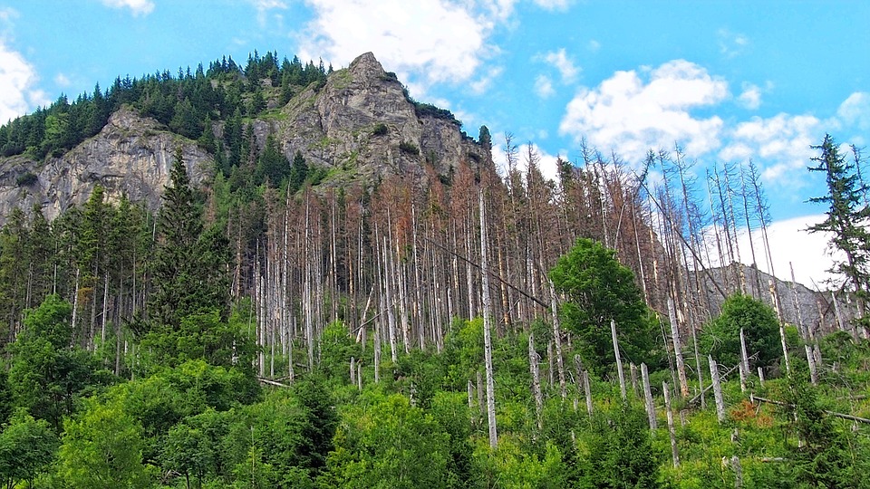 Tatry Slovak Tatras Slovakia - Free photo on Pixabay