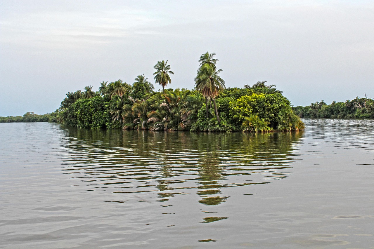 Island Tropical Africa - Free photo on Pixabay - Pixabay