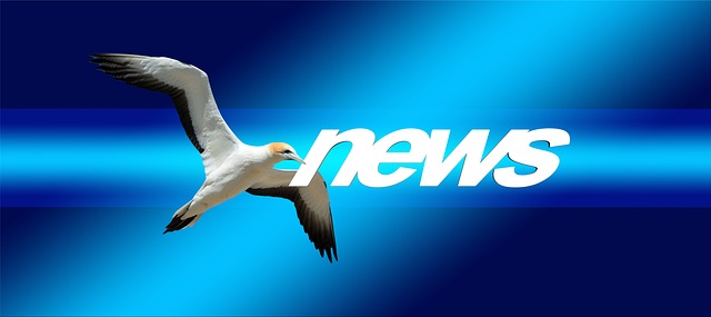 News Press Newspaper - Free photo on Pixabay - Pixabay