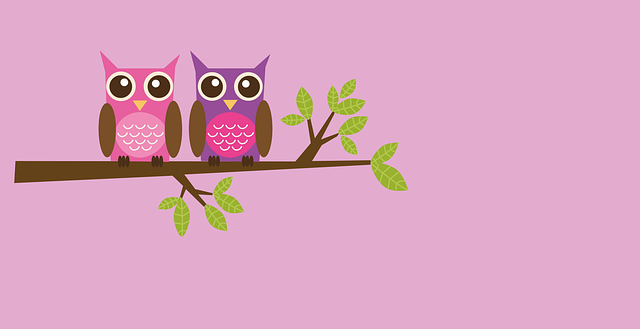 400+ darmowych obrazów z kategorii Sowy i Sowa - Pixabay