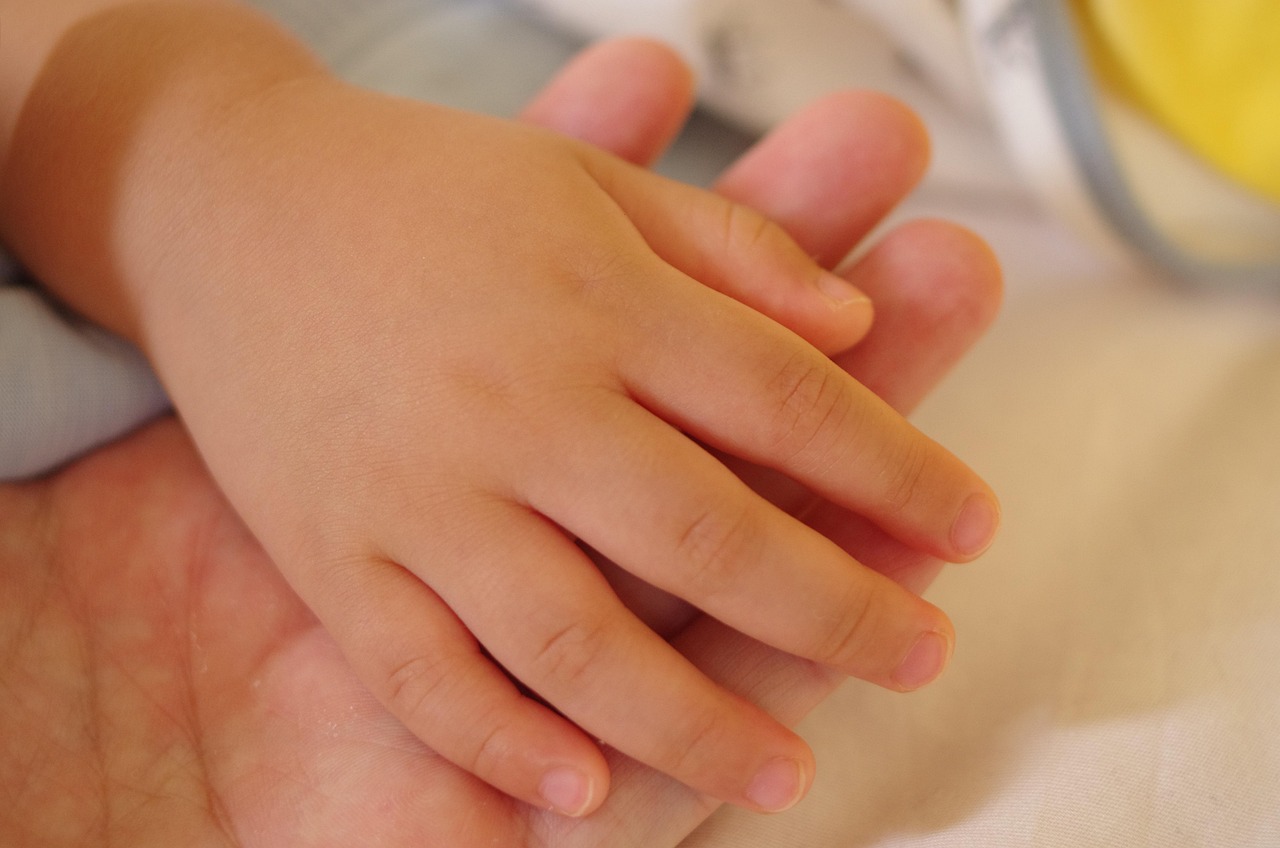 Parenting Hand Love - Free photo on Pixabay - Pixabay