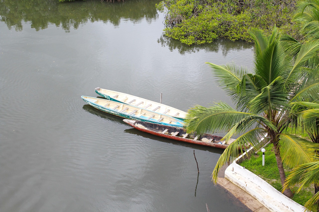 River Boats Tropics - Free photo on Pixabay - Pixabay