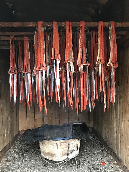 Alaska Smoking Salmon Six Mile - Free photo on Pixabay