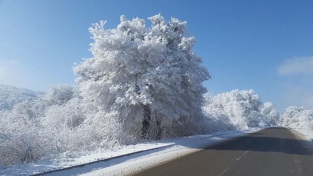 Winter Road Winterstraße - Kostenloses Foto auf Pixabay - Pixabay