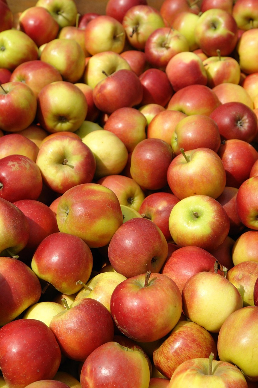 Apples Apple Harvest Fall - Free photo on Pixabay - Pixabay