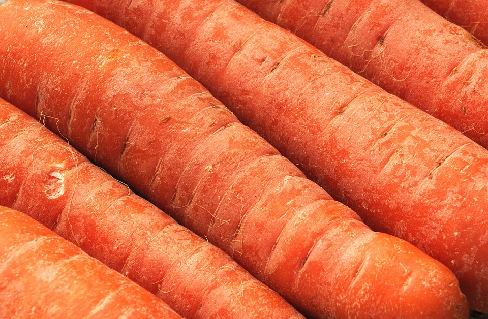 Vegetable Carrot Food - Free photo on Pixabay - Pixabay