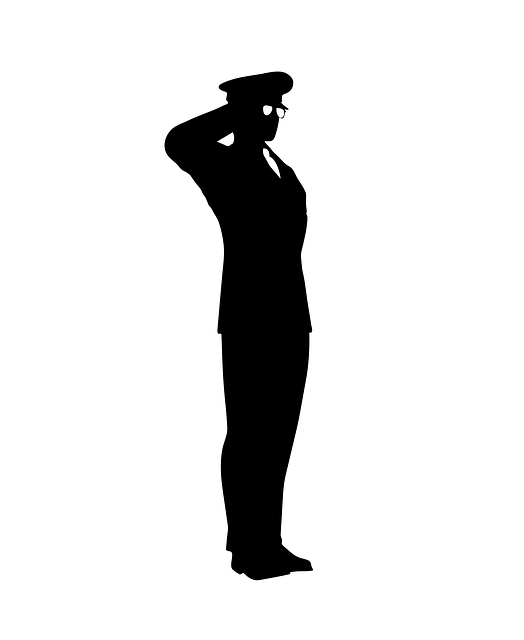 200+ Free Saluting & Salute Images - Pixabay